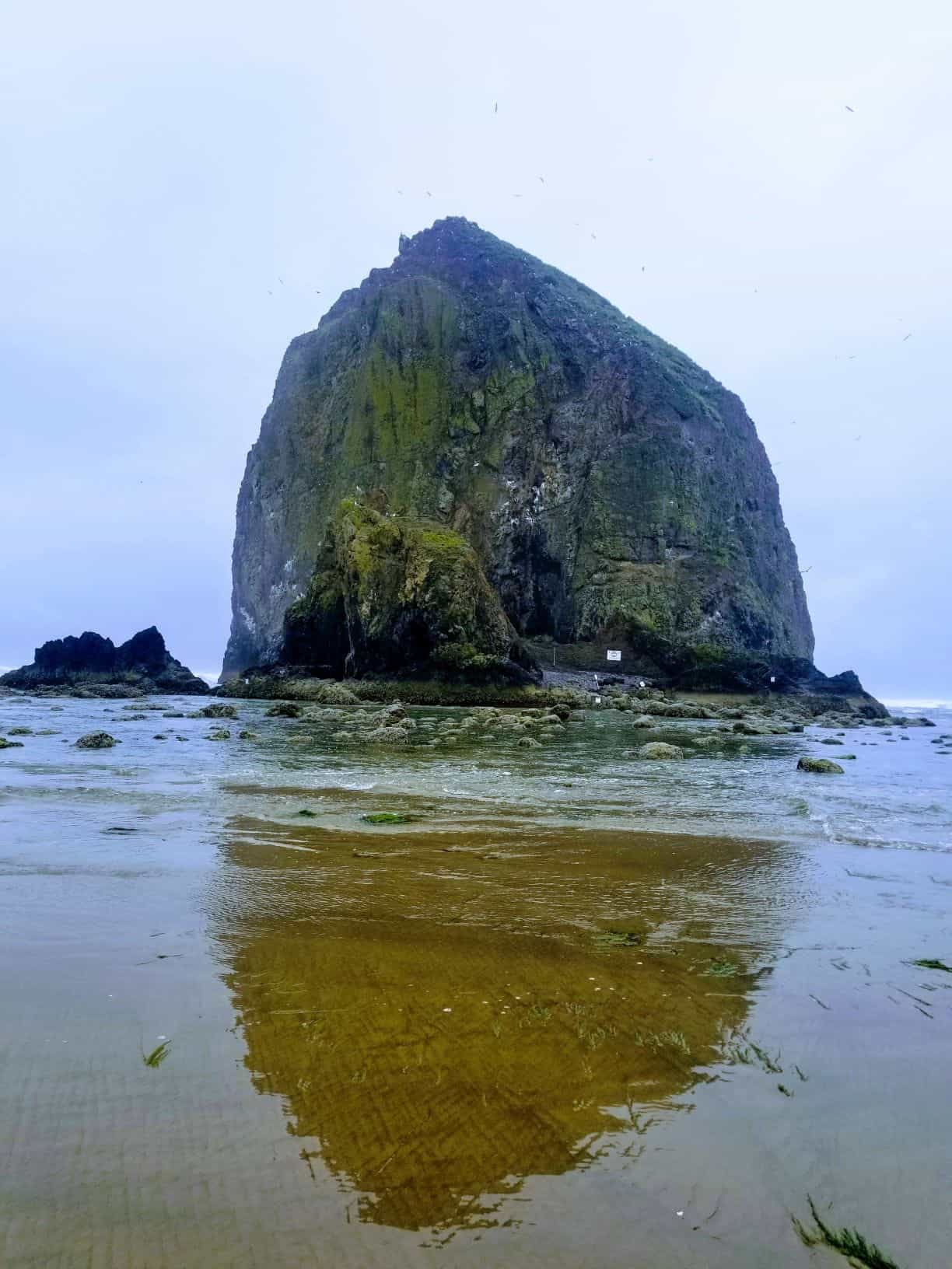 3 Oregon Coast Daytrips from the Willamette Valley | Chehalem Ridge Bed ...